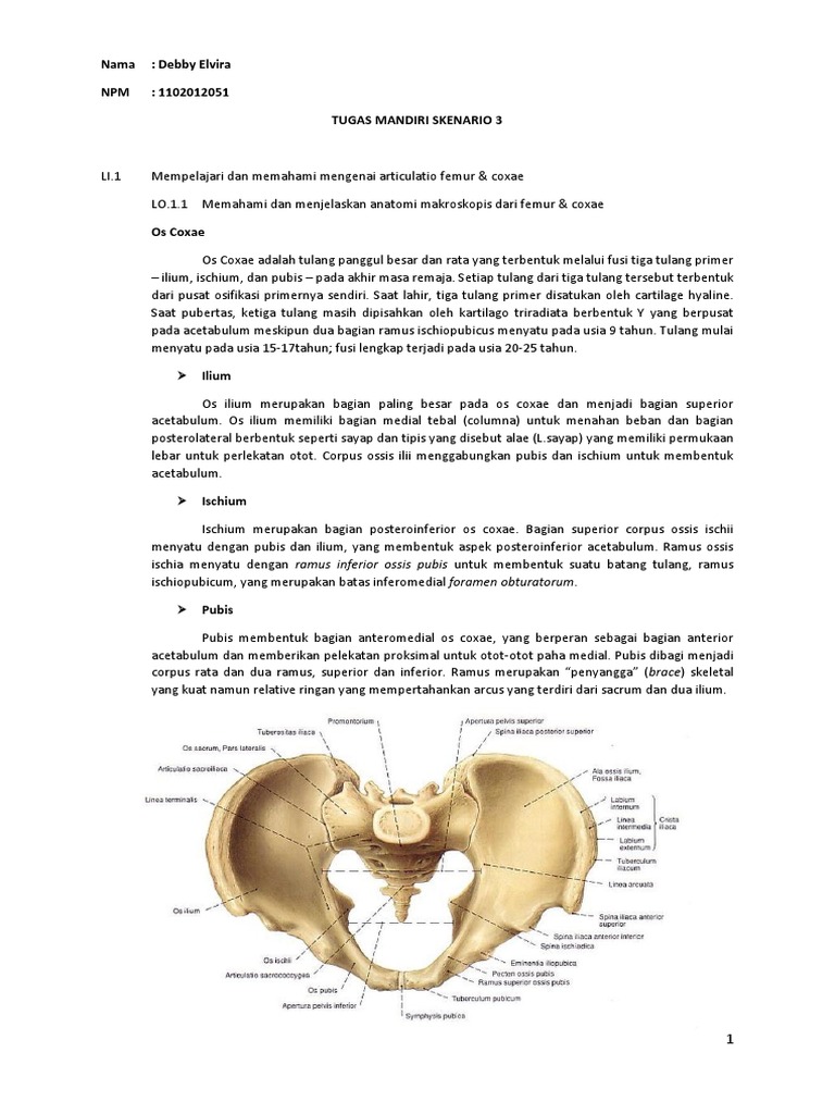 PBL SK 3 Blok Musculo Yarsi | PDF | Sains & Matematika