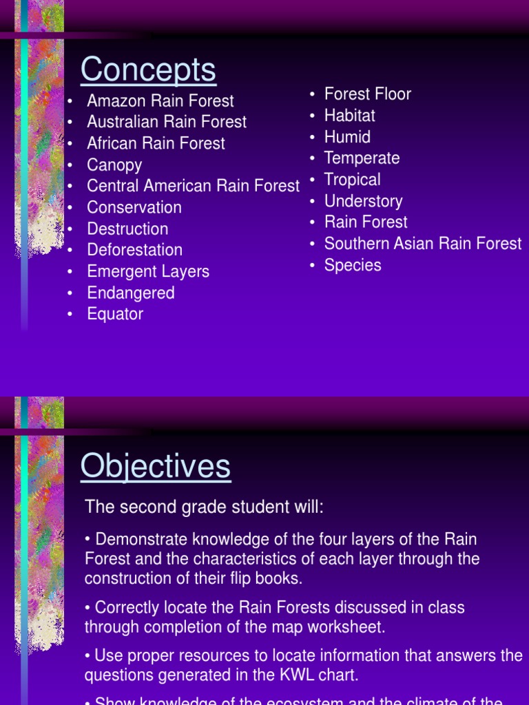 Rainforests - School Children Activities | PDF | Rainforest | Forests