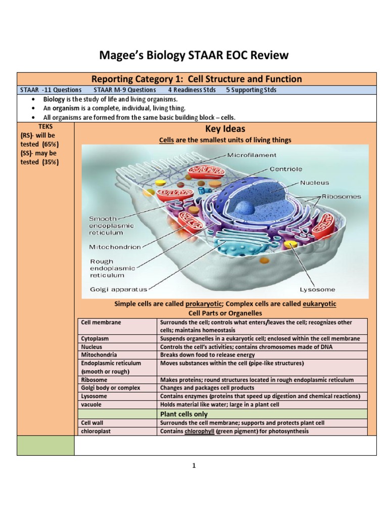 Biology Staar Eoc Review | PDF | Translation (Biology) | Cell (Biology)