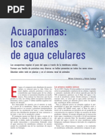 Proteus Ox-19 y Rickettsiosis: Guía Clínica | PDF | Organismos ...