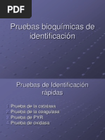Prueba de Ureasa en Bacterias | PDF | Las bacterias | Química