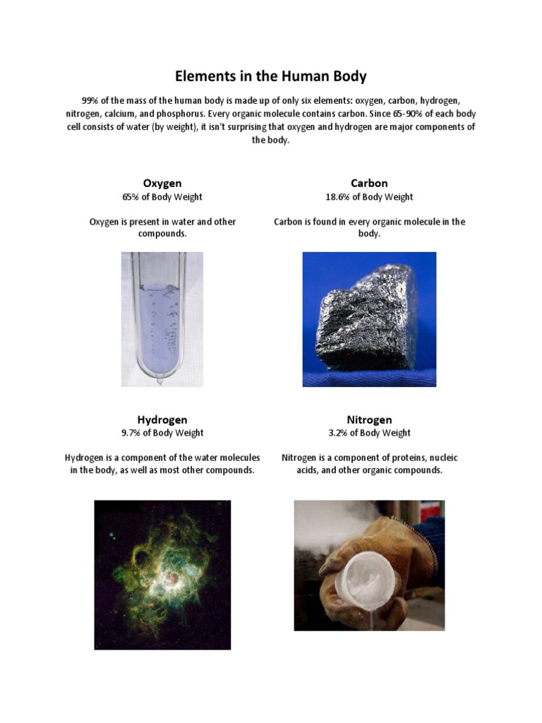 Essential Elements in the Human Body | PDF