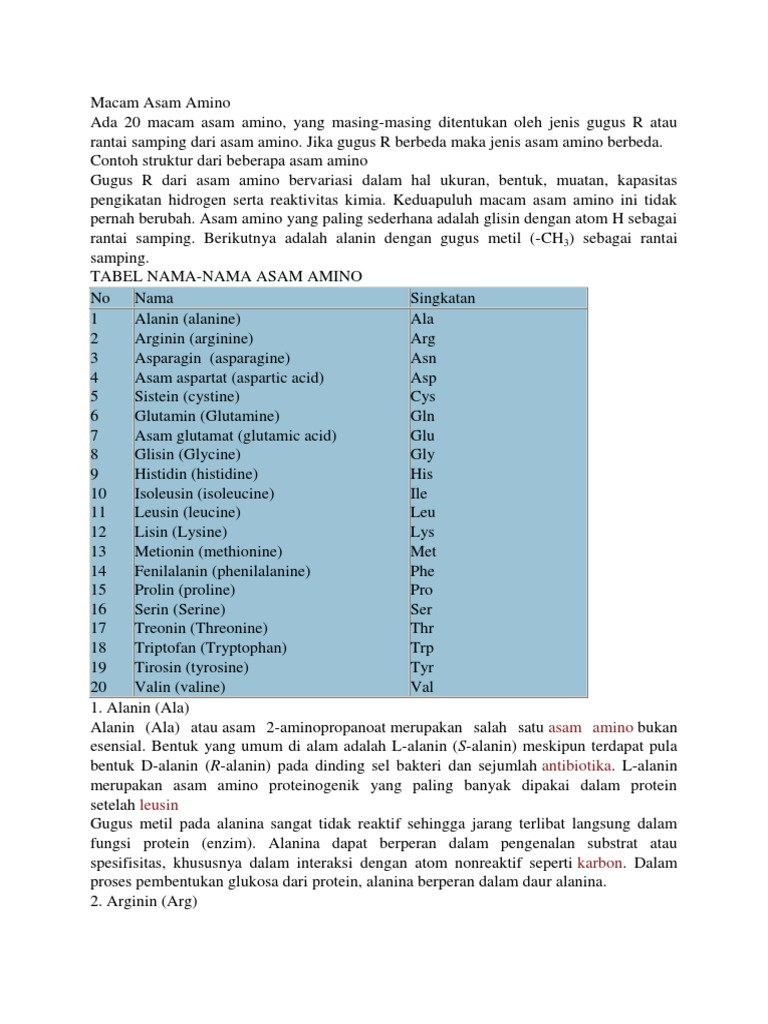 20 Macam Asam Amino