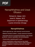 Frisen Scale for Papilledema Grading | PDF