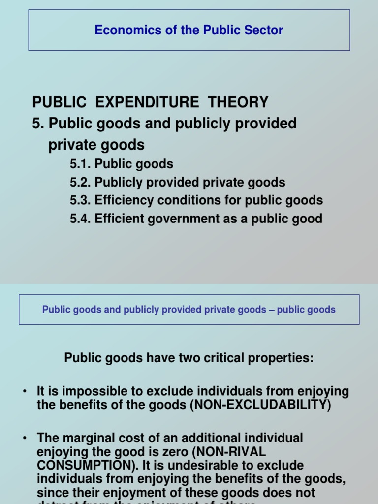 Public Goods | PDF | Public Good | Pareto Efficiency