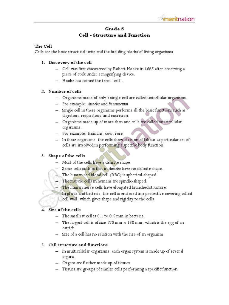 Cell Structure And Functions Pdf Download Free Pdf Eukaryotes