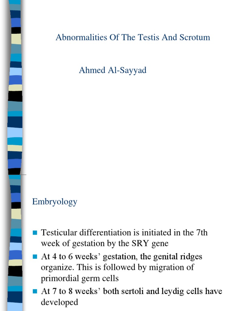 Testis and Scrotum Abnormalities Overview | PDF | Testicle | Sexual Anatomy