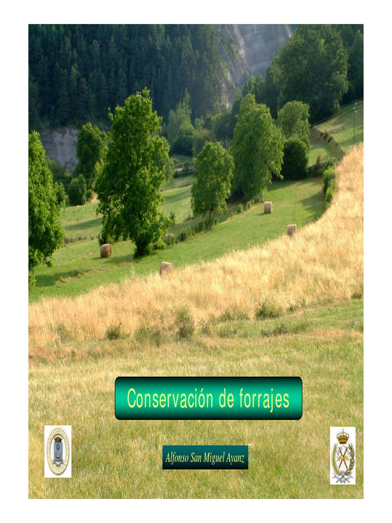 Conservacion de Forrajes | PDF | Alimentos | Agricultura