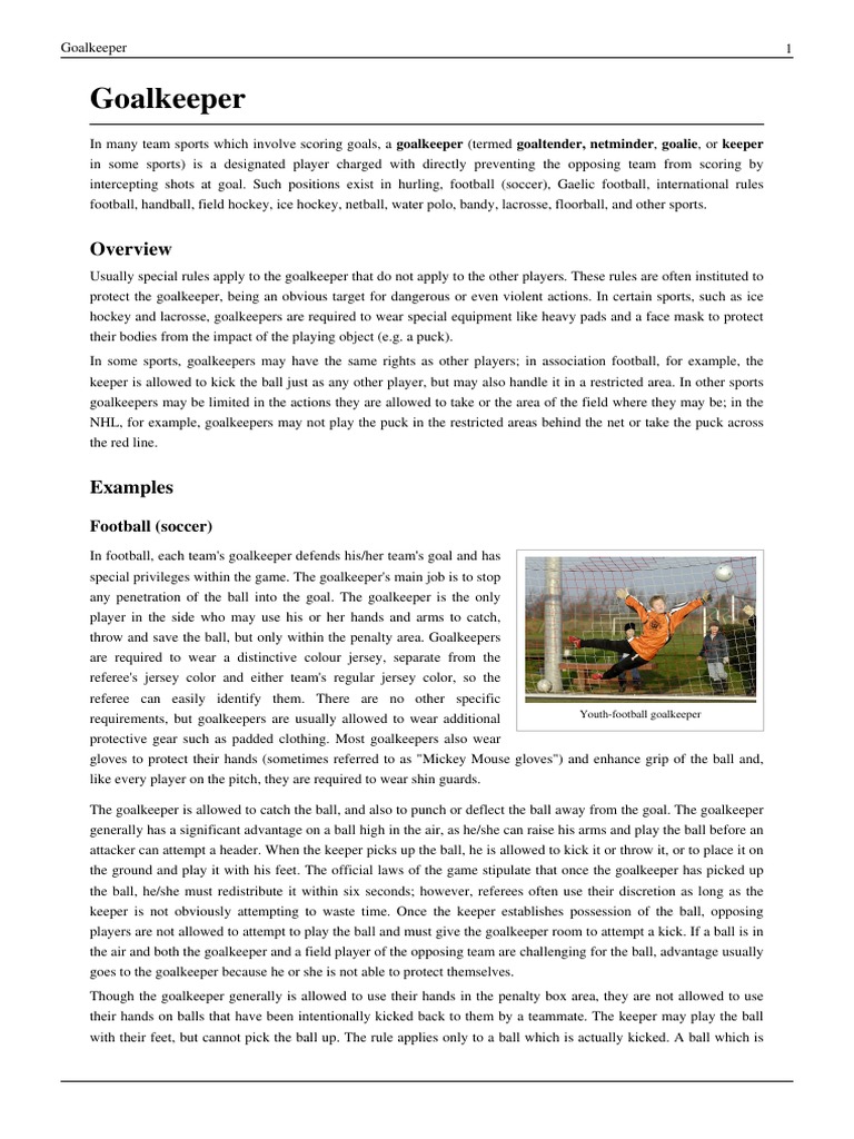 Goalkeeper PDF | PDF | Sports | Football Codes