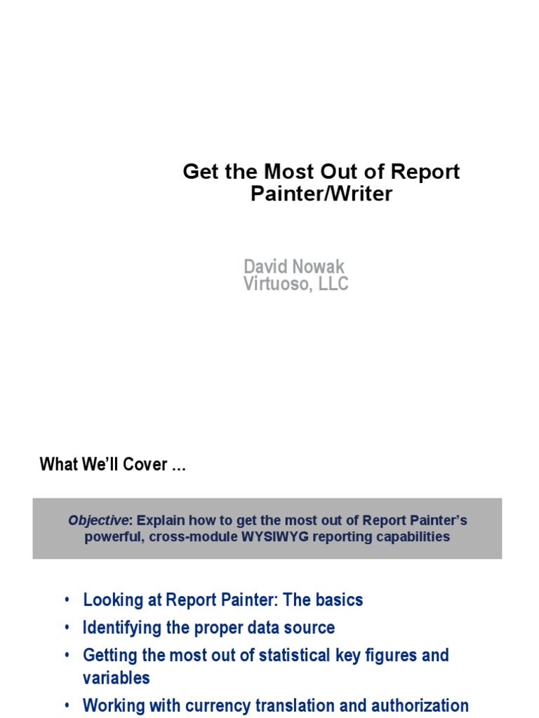 SAP Report Painter | PDF
