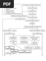 Woc Antepartum Bleeding | PDF
