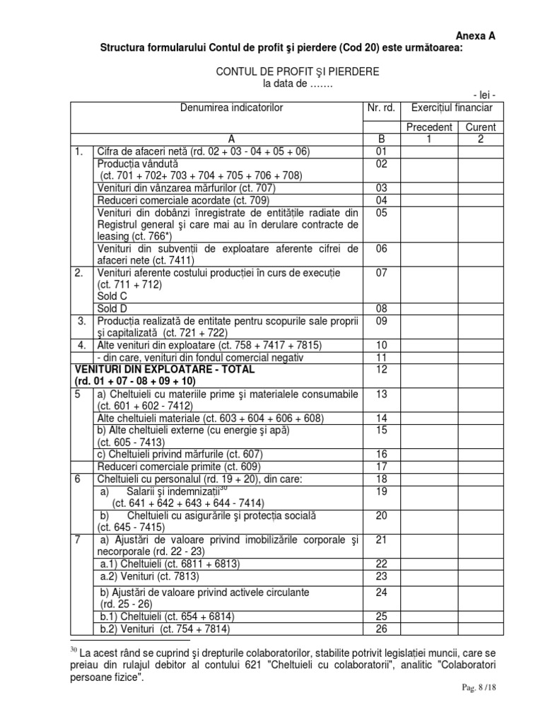 Cont de profit si pierdere.pdf