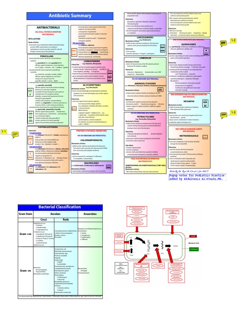 Antibiotics Summary - Flattened PDF | PDF | Penicillin | Gram Negative ...
