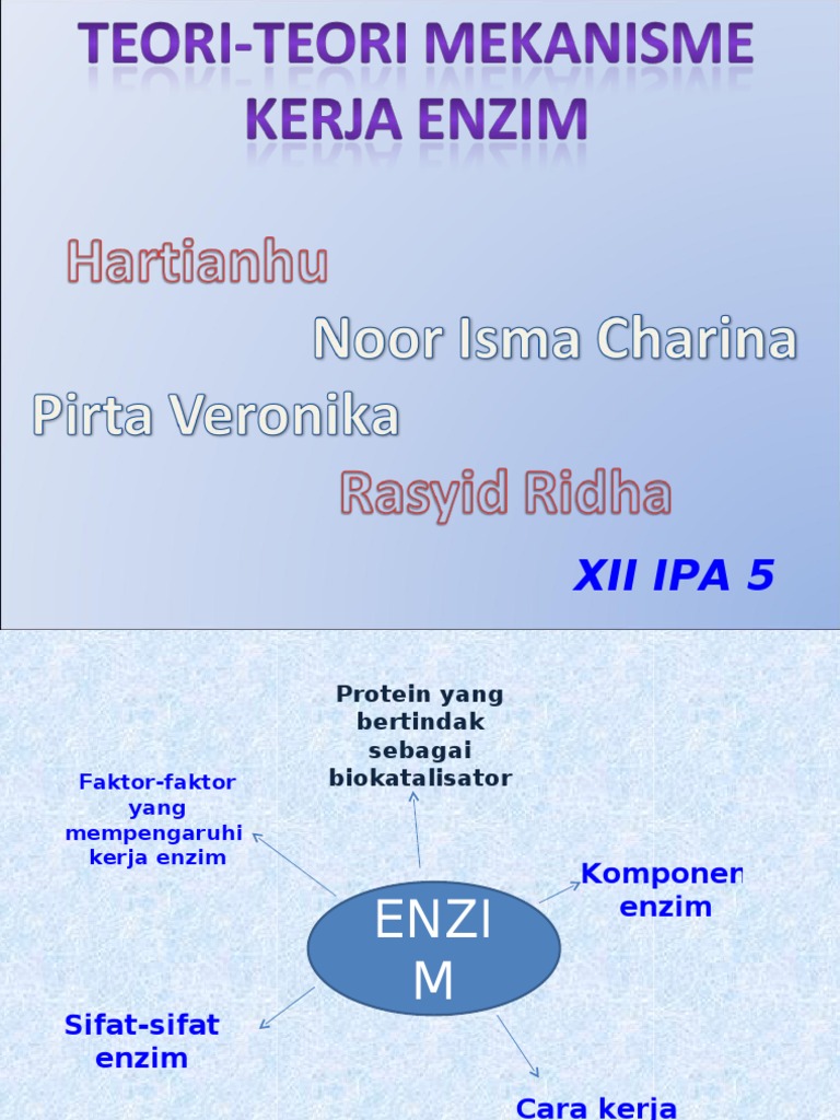 Teori-Teori Mekanisme Kerja Enzim | PDF