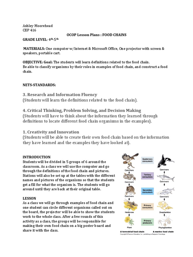 Food Chain Lesson Plans for Grades 4-5 | PDF