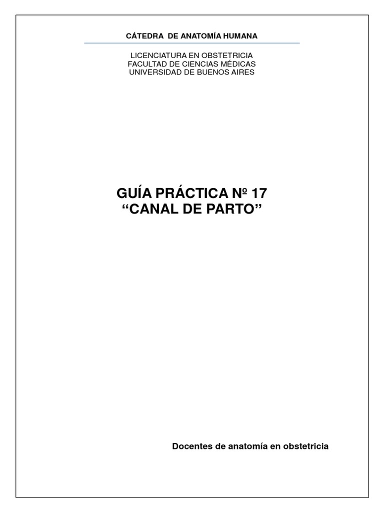 Anatomía del Canal de Parto | PDF | Pelvis | Parto