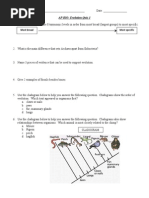 Cladogram Worksheet | PDF