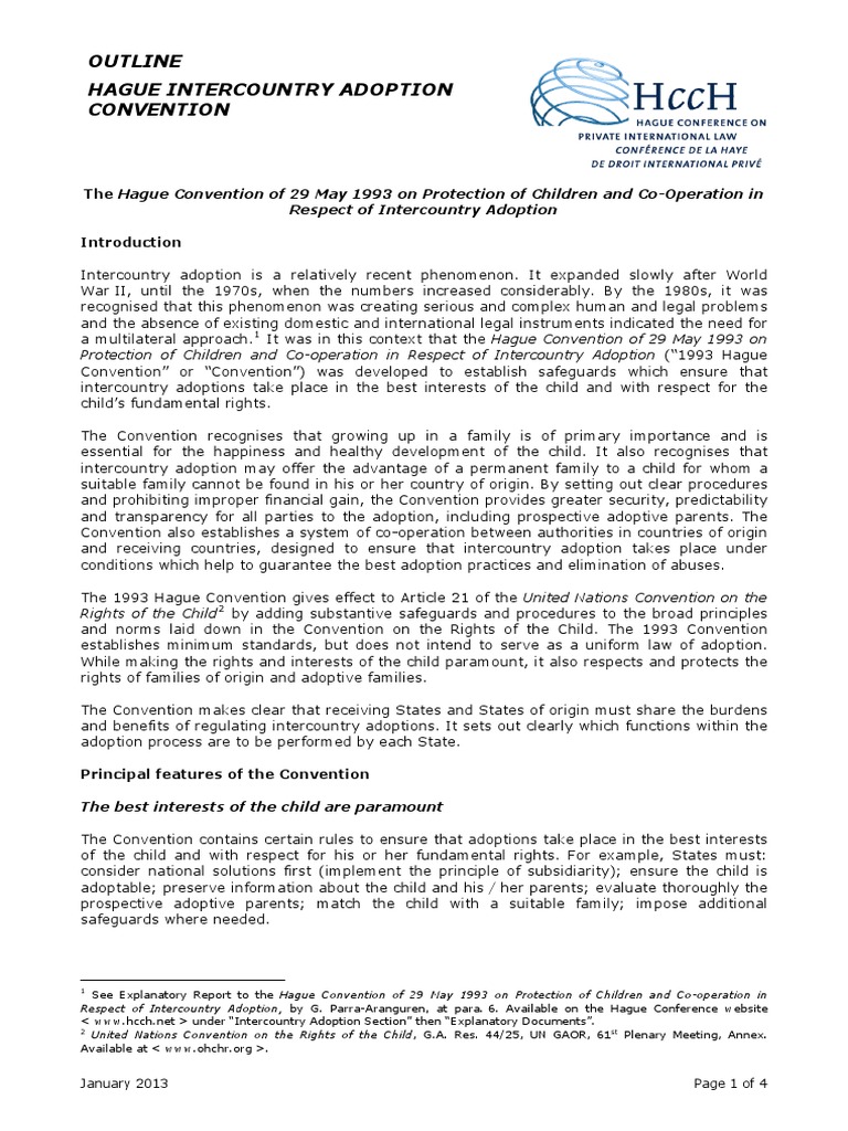 Outline Hague Intercountry Adoption Convention | PDF | International ...
