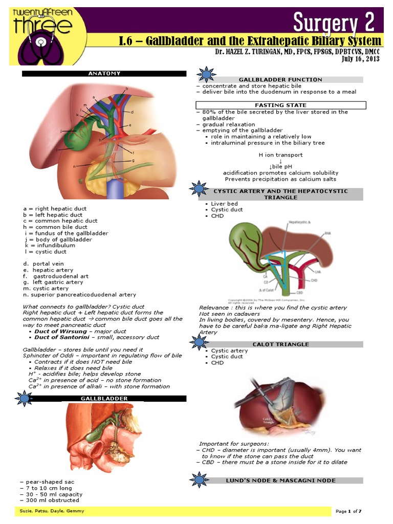 Gallbladder Triangle