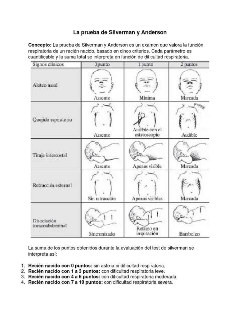 La prueba de Silverman y Anderson, ballard, capurro, ventilacion.docx ...