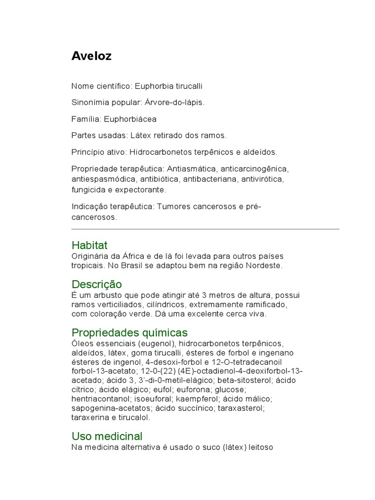 Aveloz - Euphorbia Tirucalli - Ervas Medicinais - Ficha Completa ...