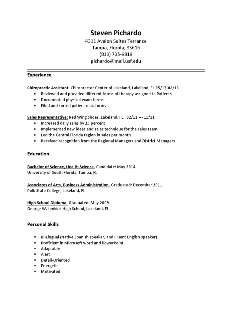 Steven Pichardo's Professional Resume | PDF