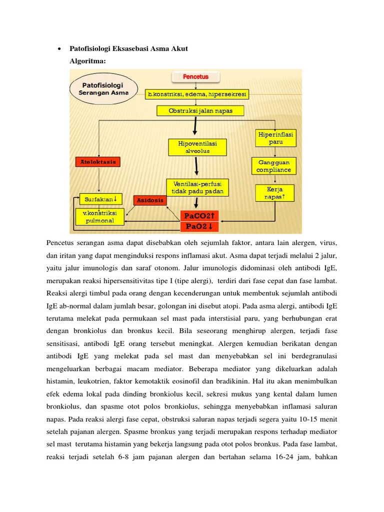Patofisiologi Asma dan ISPA | PDF