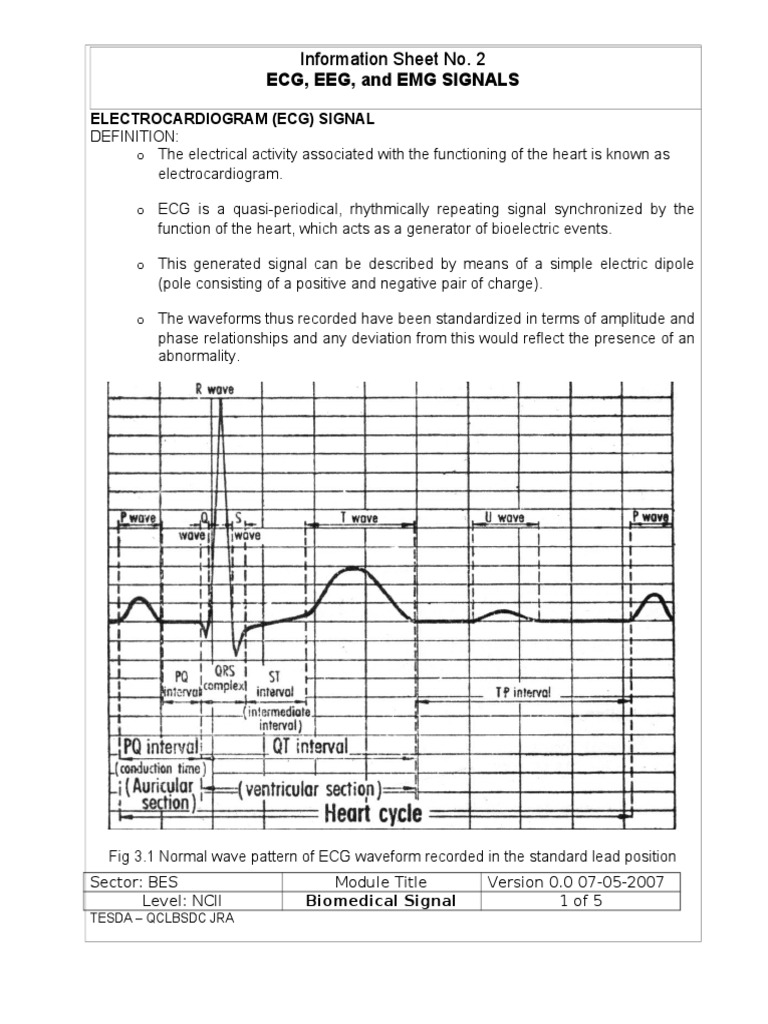 2 ECG, EMG, AND EEG Signals Handouts 2 Ok | PDF | Electrocardiography ...