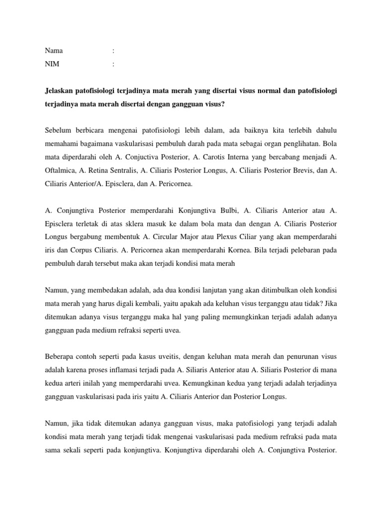Patofisiologi Mata Merah: Visus Normal vs Gangguan | PDF | Sains ...