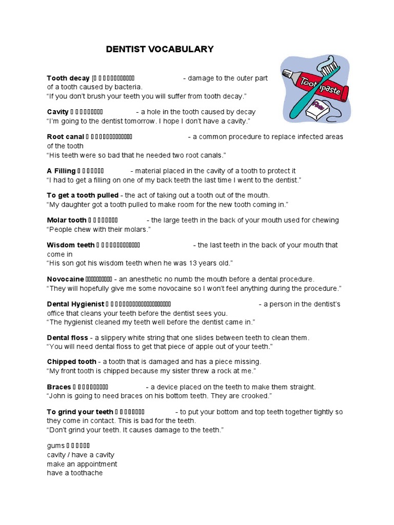 Dental Terms and Procedures Guide | PDF | Dentistry | Tooth