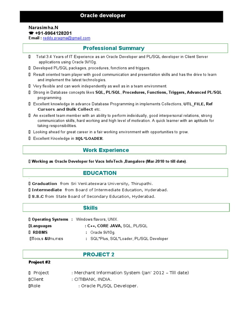Professional Summary: Oracle Developer | PDF | Information Science ...