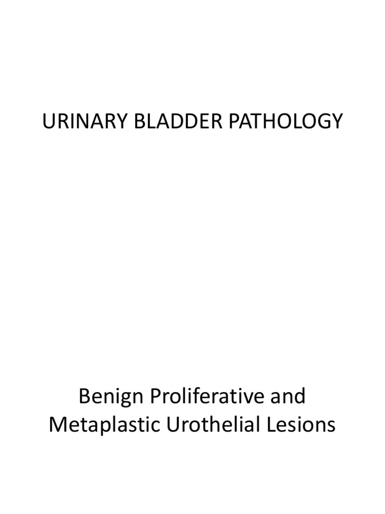 Urinary Bladder Pathology | PDF | Urinary Tract Infection | Neoplasms