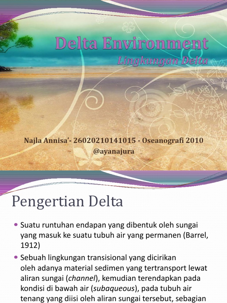 Delta Environment | PDF