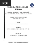 Python Ejemplar | PDF | Módem | Gsm