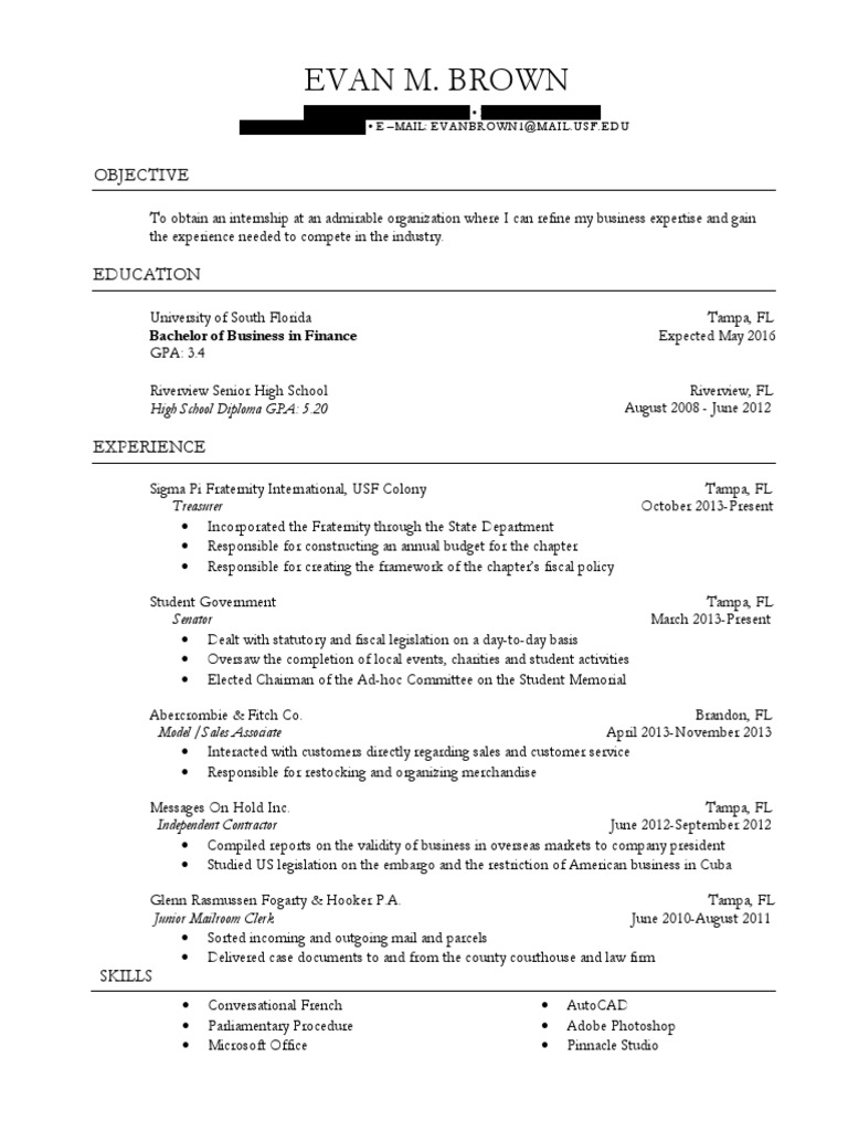 Professional Resume | PDF