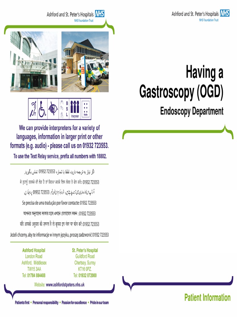Having A Gastros | PDF | Endoscopy | Peptic Ulcer