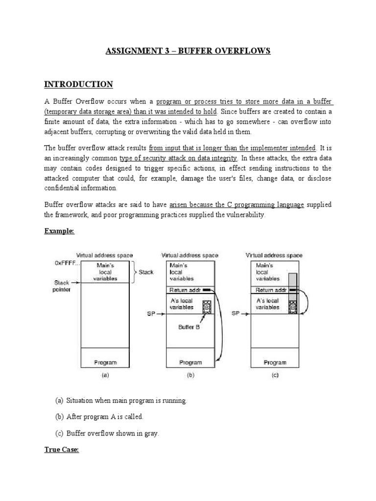 Assignment 3 - Buffer Overflows: Example | PDF | Computer Architecture | Software Engineering