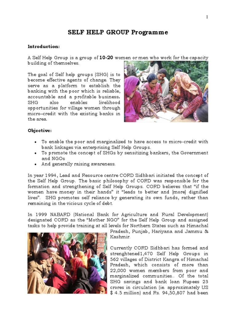 Detail-Self Help Group Programme | PDF | Banks | Economies