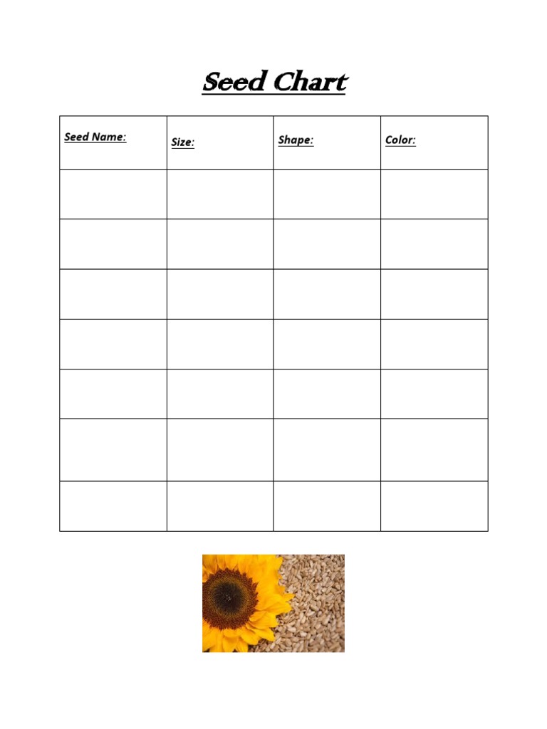 Seed Chart: Size, Shape, Color | PDF