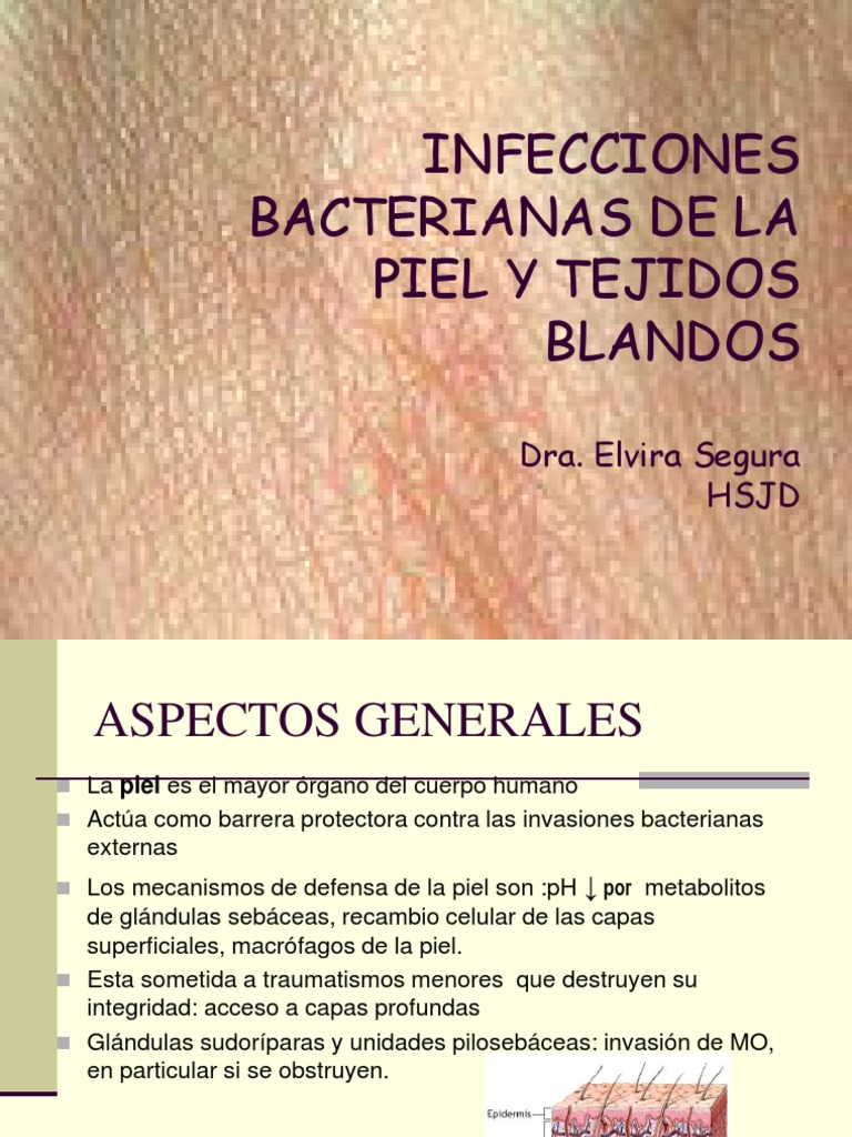 19.infecciones Bacterianas de La Piel y Tejidos Blandos | PDF | Inmunología | Microbiología