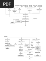 2-Hour Turning Schedule Chart | PDF