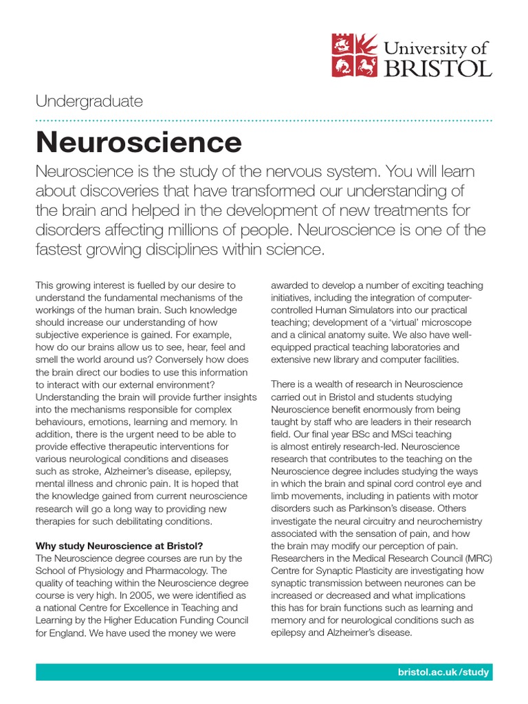 Neuroscience: Why Study Neuroscience at Bristol? | PDF | Neuroscience ...