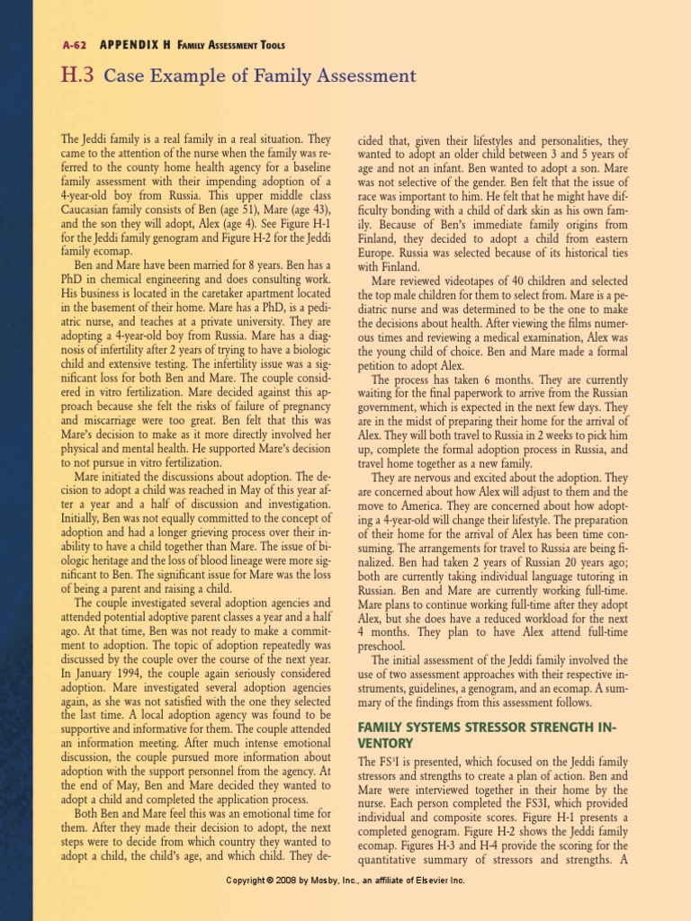 Family Assessment Example | PDF | Adoption | Family