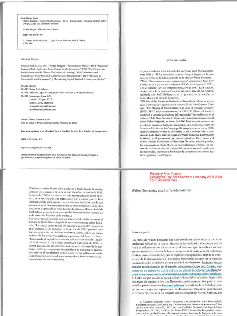 Benjamin Libro Susan Buck-Morss-2005 | PDF | Karl Marx | marxismo