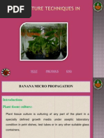 SOP For Seed QA Lab | PDF | Seed | Quality Assurance