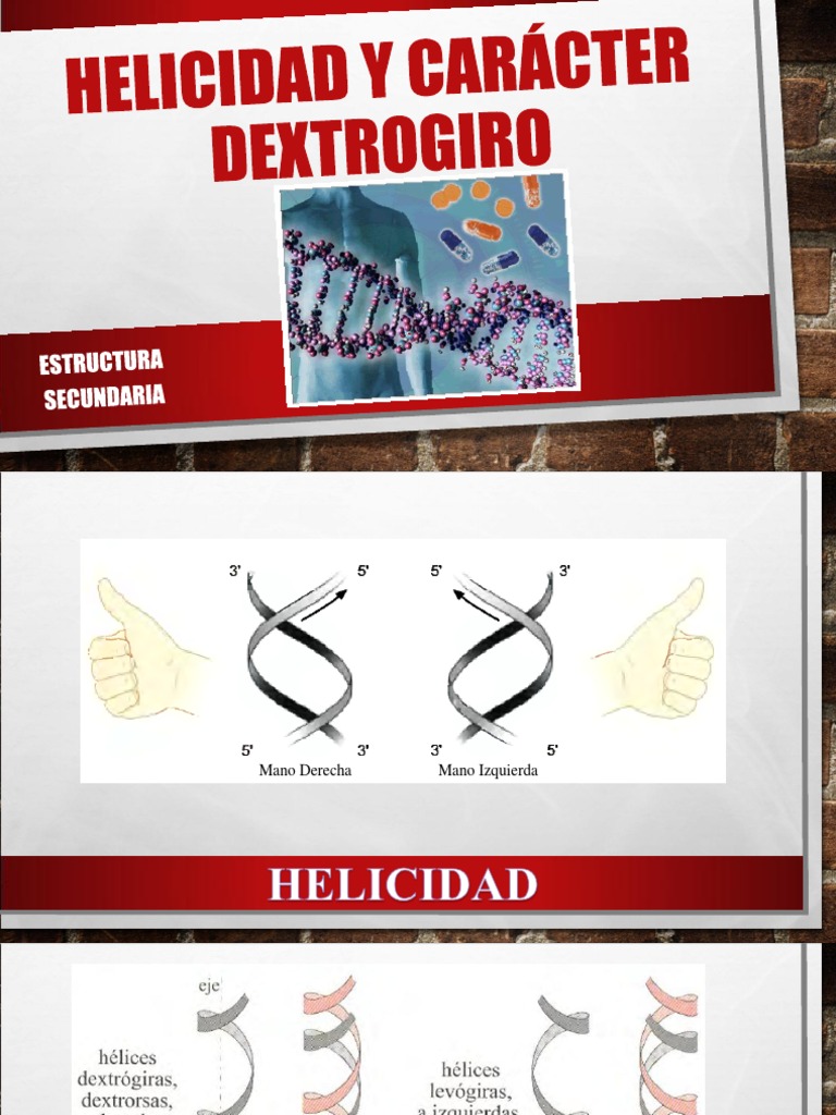Helicidad y Carácter Dextrogiro | PDF