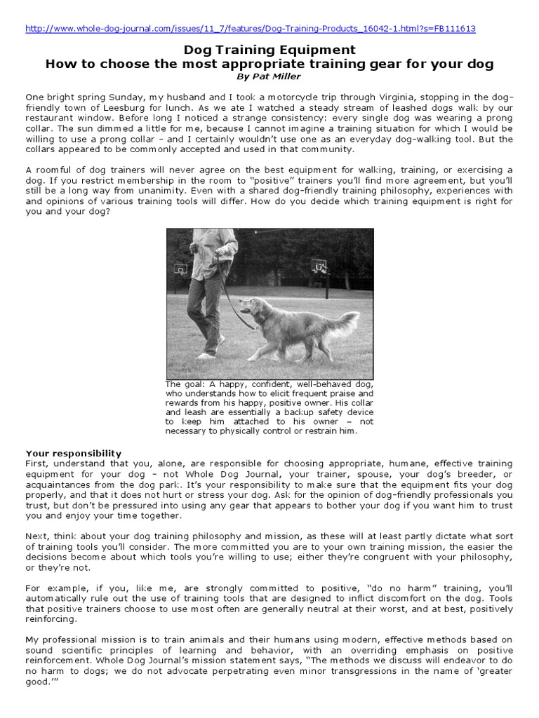 Dog Training Equipment | PDF | Leash | Reinforcement
