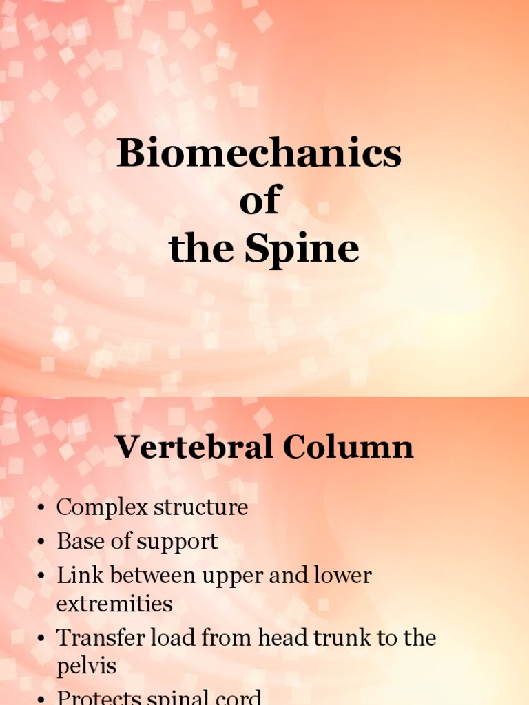Biomechanics of the Vertebral Column | PDF | Vertebral Column | Vertebra