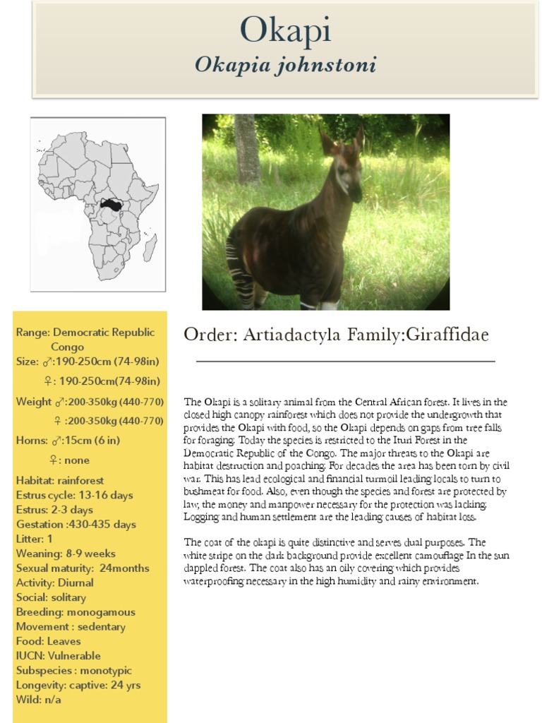 Okapi | PDF | Organisms | Conservation