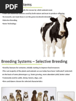 Breeding Management of Cattle and Buffaloes | PDF | Calf | Natural ...
